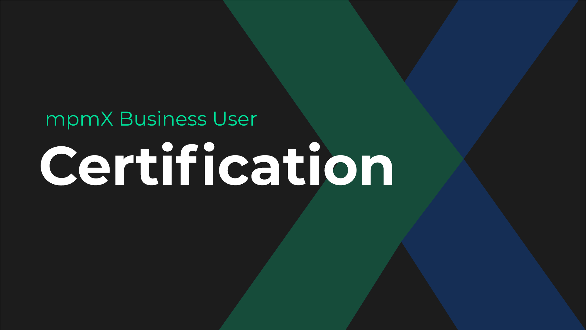 mpmX Business User Certification | Process Excellence Platform | mpmX